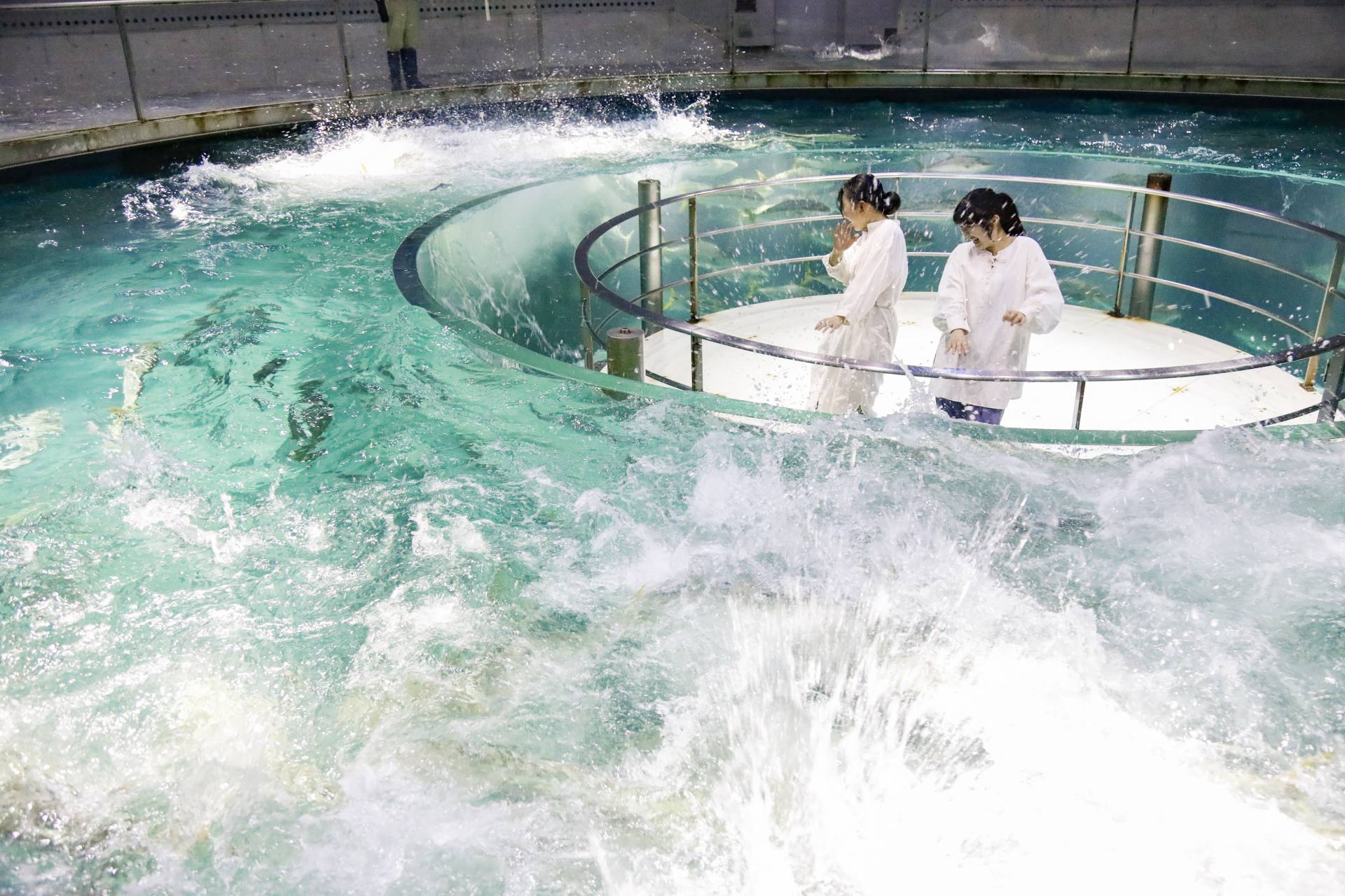 Kinosaki Marine World - Must-See, Access, Hours & Price | GOOD LUCK TRIP