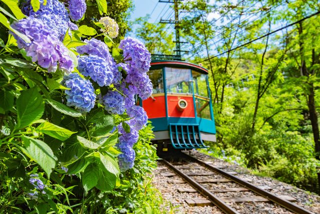 Rokko Cable Car | GOOD LUCK TRIP