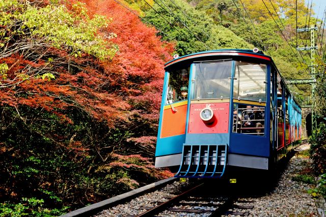 Rokko Cable Car | GOOD LUCK TRIP