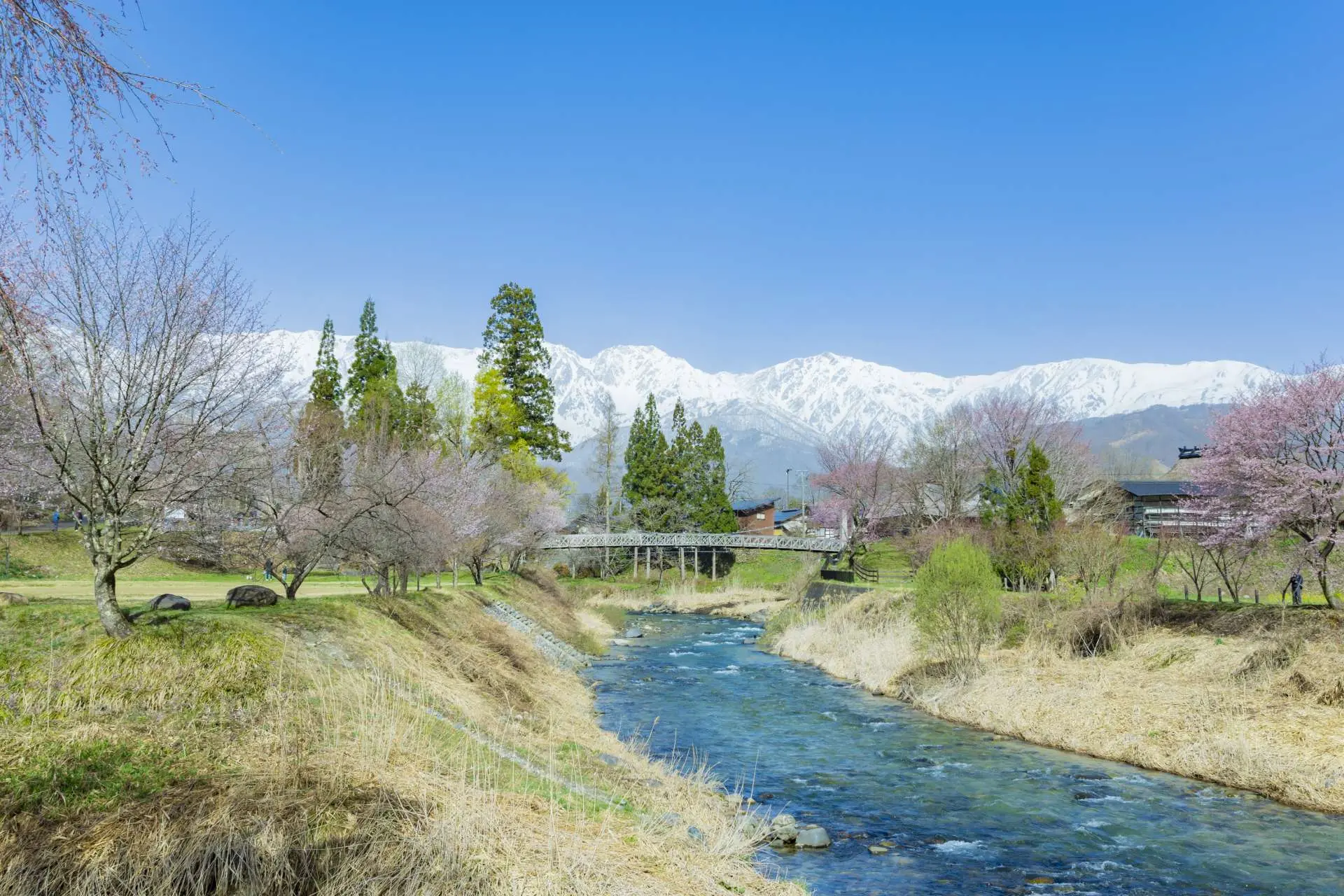 Oide Park - Must-See, Access, Hours & Price | GOOD LUCK TRIP