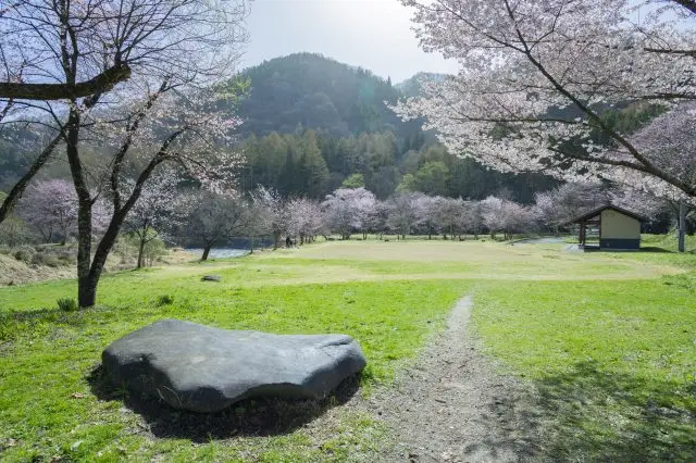 Oide Park - Must-See, Access, Hours & Price | GOOD LUCK TRIP