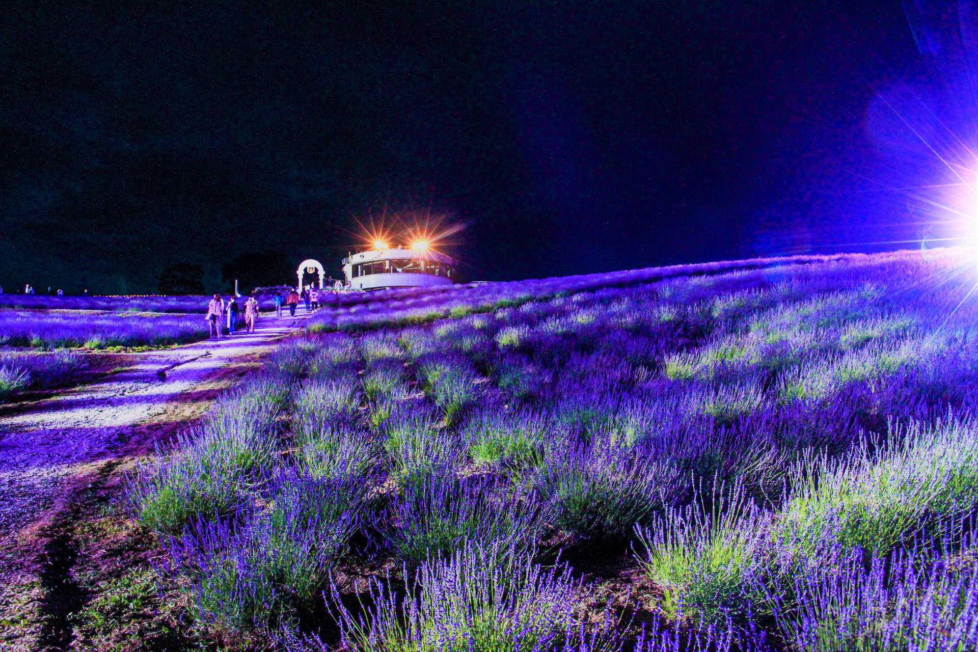 Hinode Park Lavender Garden - Must-See, Access, Hours & Price | GOOD ...