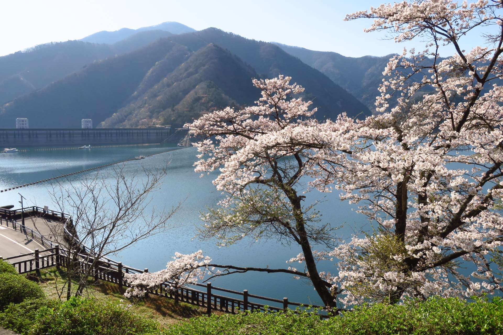 Lake Okutama - Must-See, Access, Hours & Price | GOOD LUCK TRIP