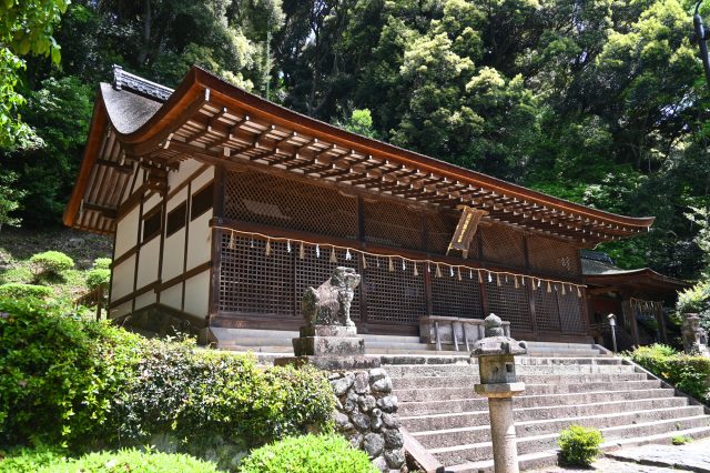 Kodaiji Temple - Must-See, Access, Hours & Price | GOOD LUCK TRIP