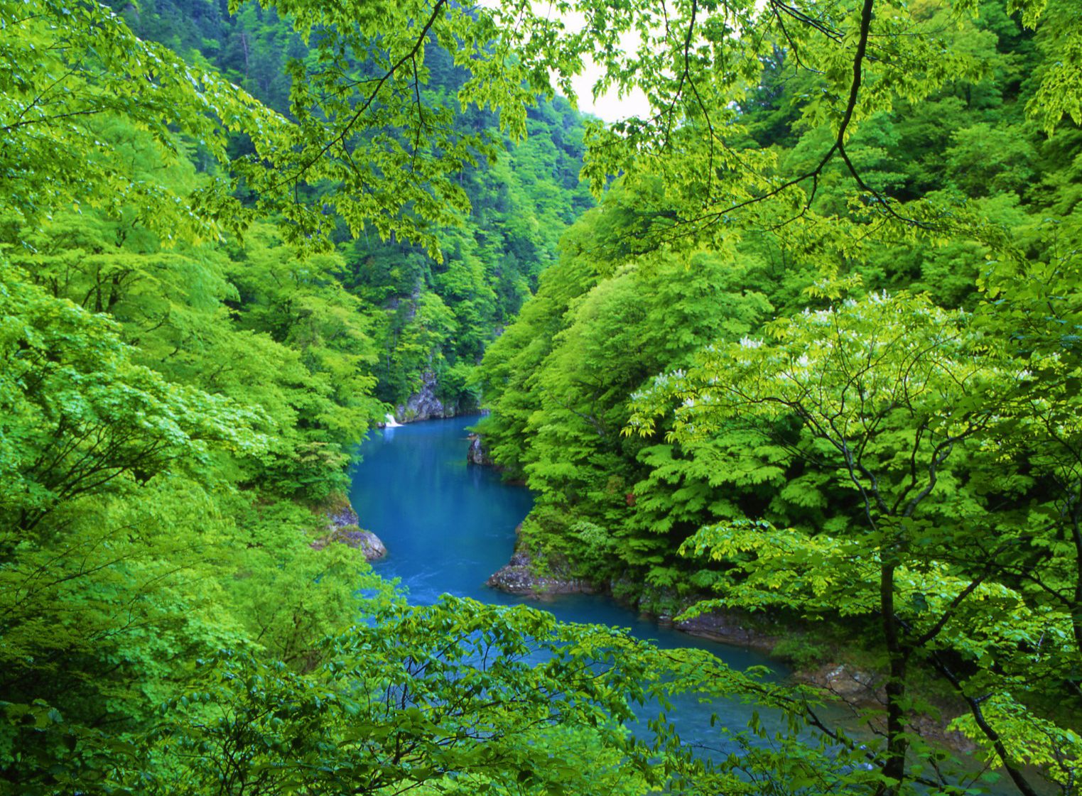 Dakigaeri Valley - Must-See, Access, Hours & Price | GOOD LUCK TRIP