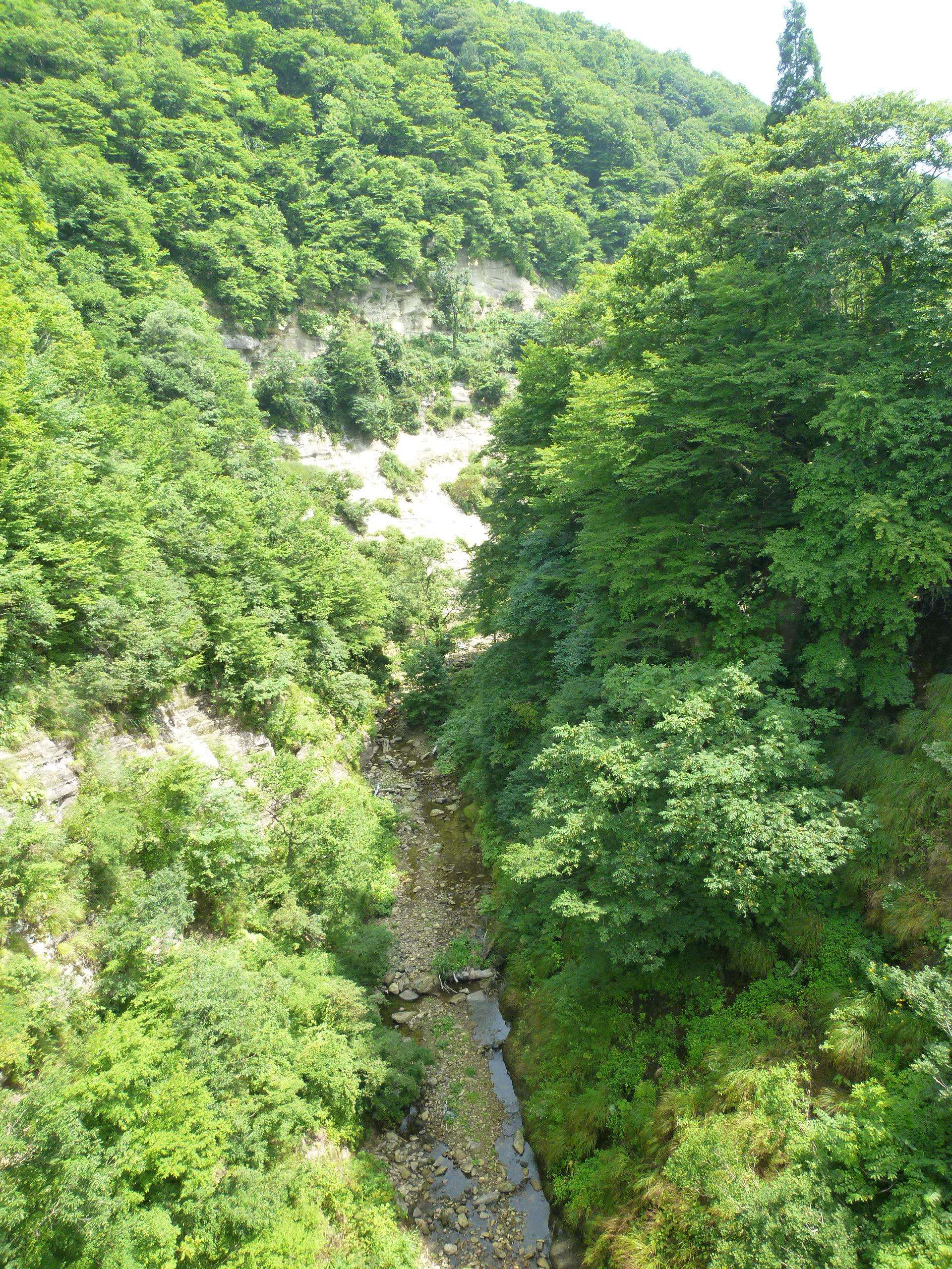 Sanzu River Gorge - Must-See, Access, Hours & Price | GOOD LUCK TRIP