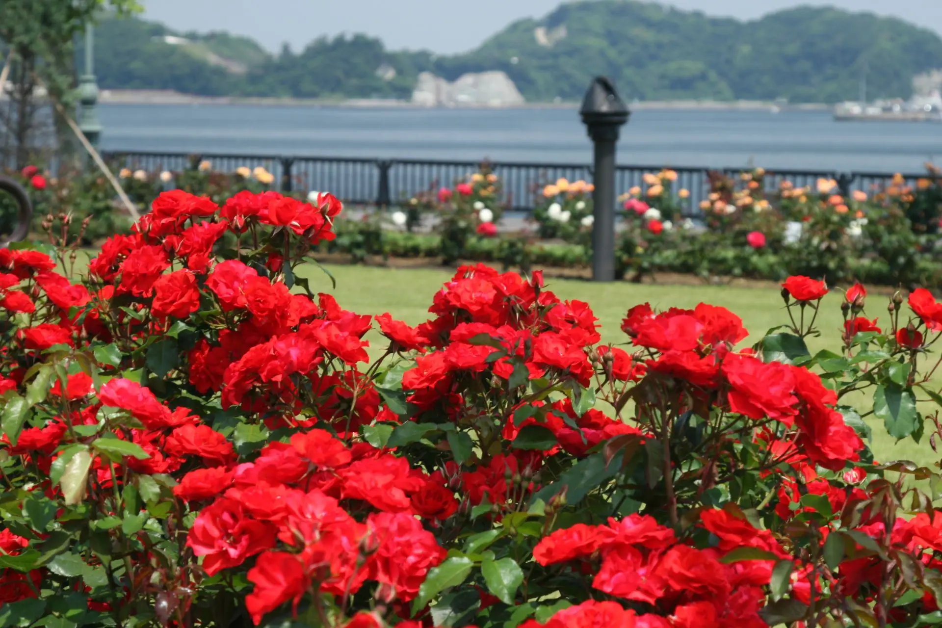 Verny Park - Must-See, Access, Hours & Price | GOOD LUCK TRIP