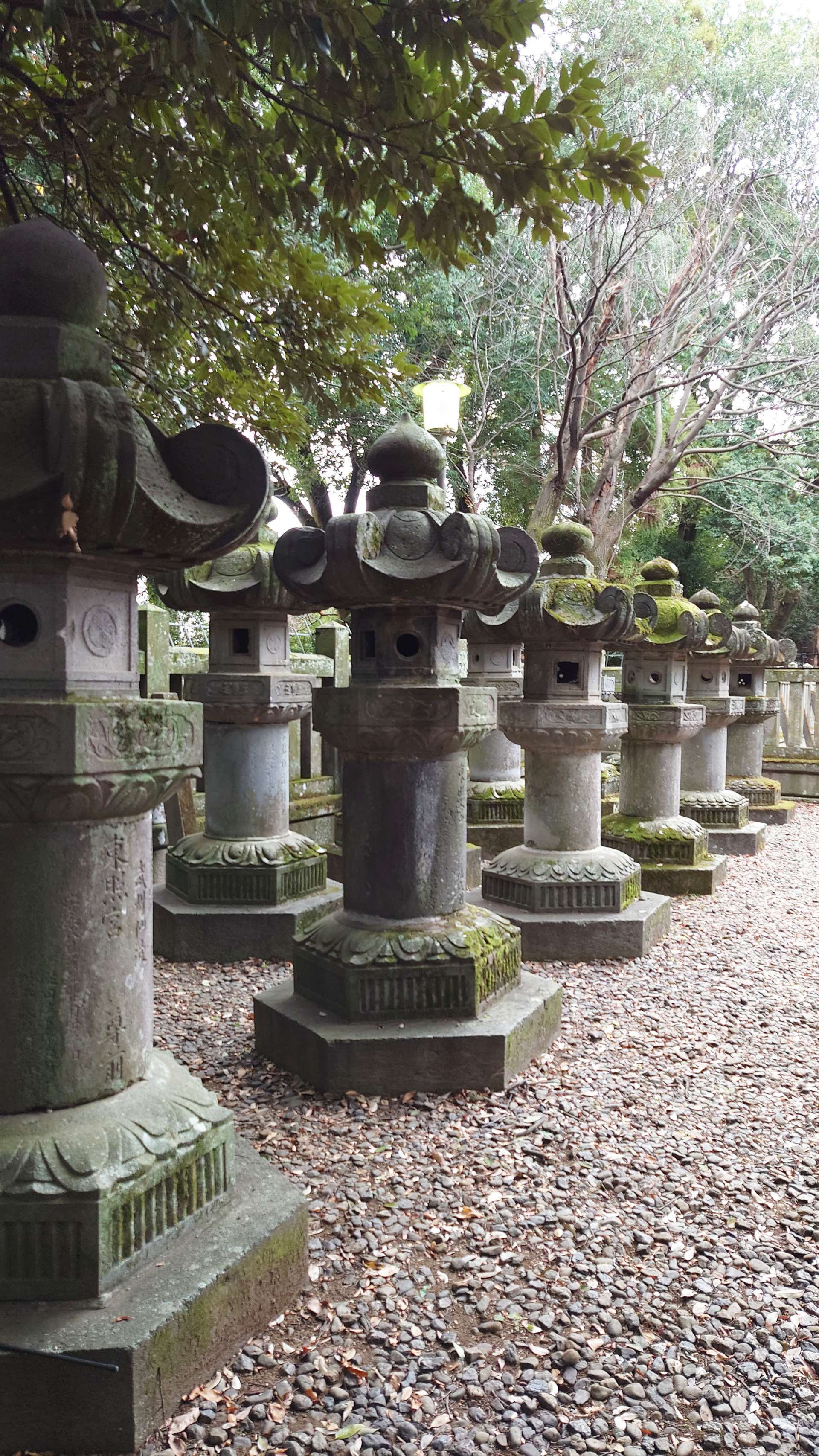 Senba Toshogu - Must-See, Access, Hours & Price | GOOD LUCK TRIP