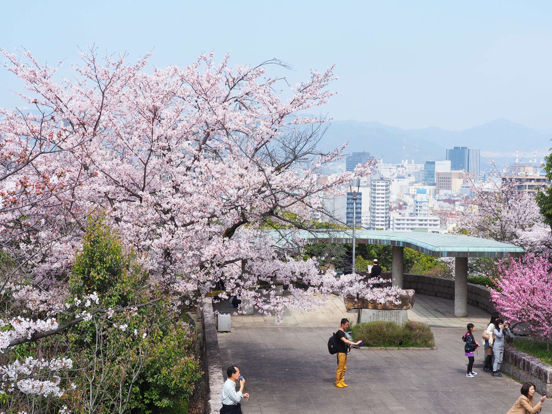 Hijiyama Park - Must-See, Access, Hours & Price | GOOD LUCK TRIP