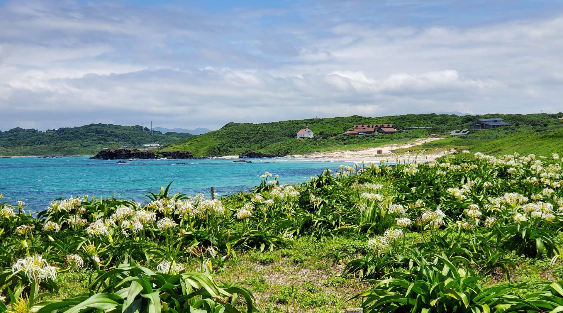 Tsunoshima - Must-See, Access, Hours & Price | GOOD LUCK TRIP