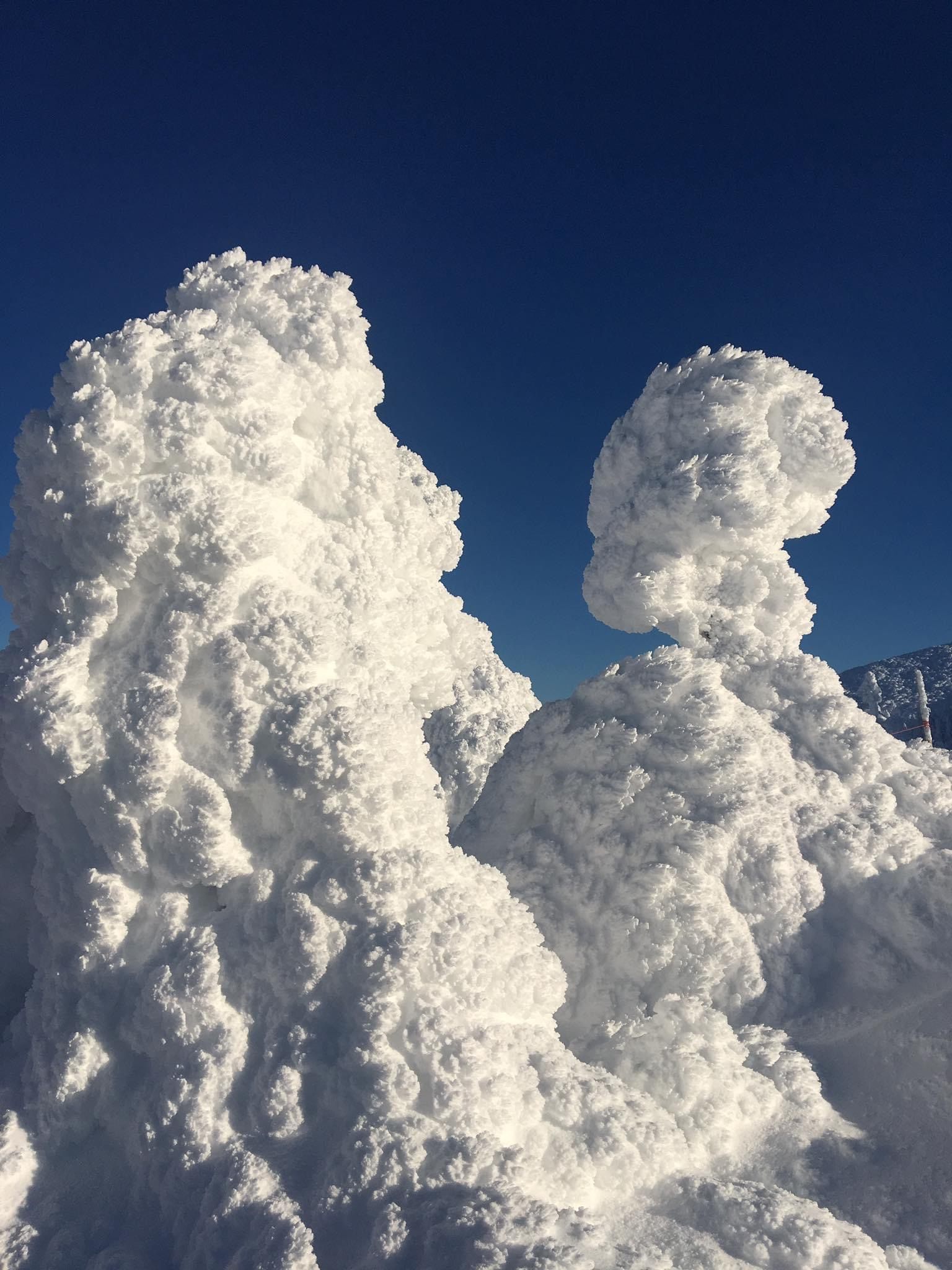 Juhyo (Rime) in Zao (Yamagata Prefecture) - Must-See, Access, Hours ...