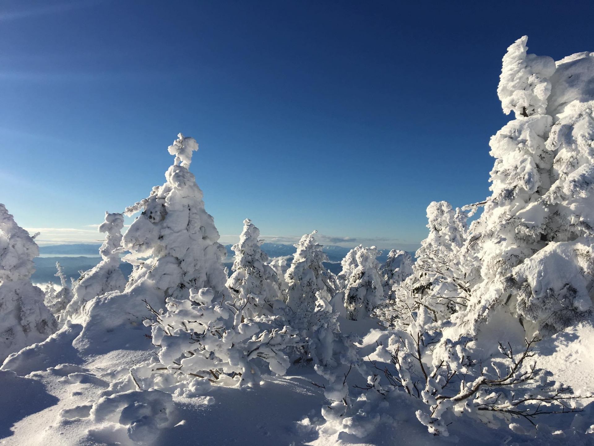 Juhyo (Rime) in Zao (Yamagata Prefecture) - Must-See, Access, Hours ...