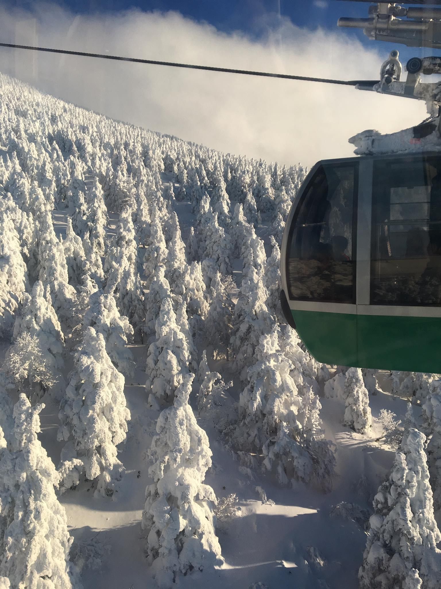 Juhyo (Rime) in Zao (Yamagata Prefecture) - Must-See, Access, Hours ...