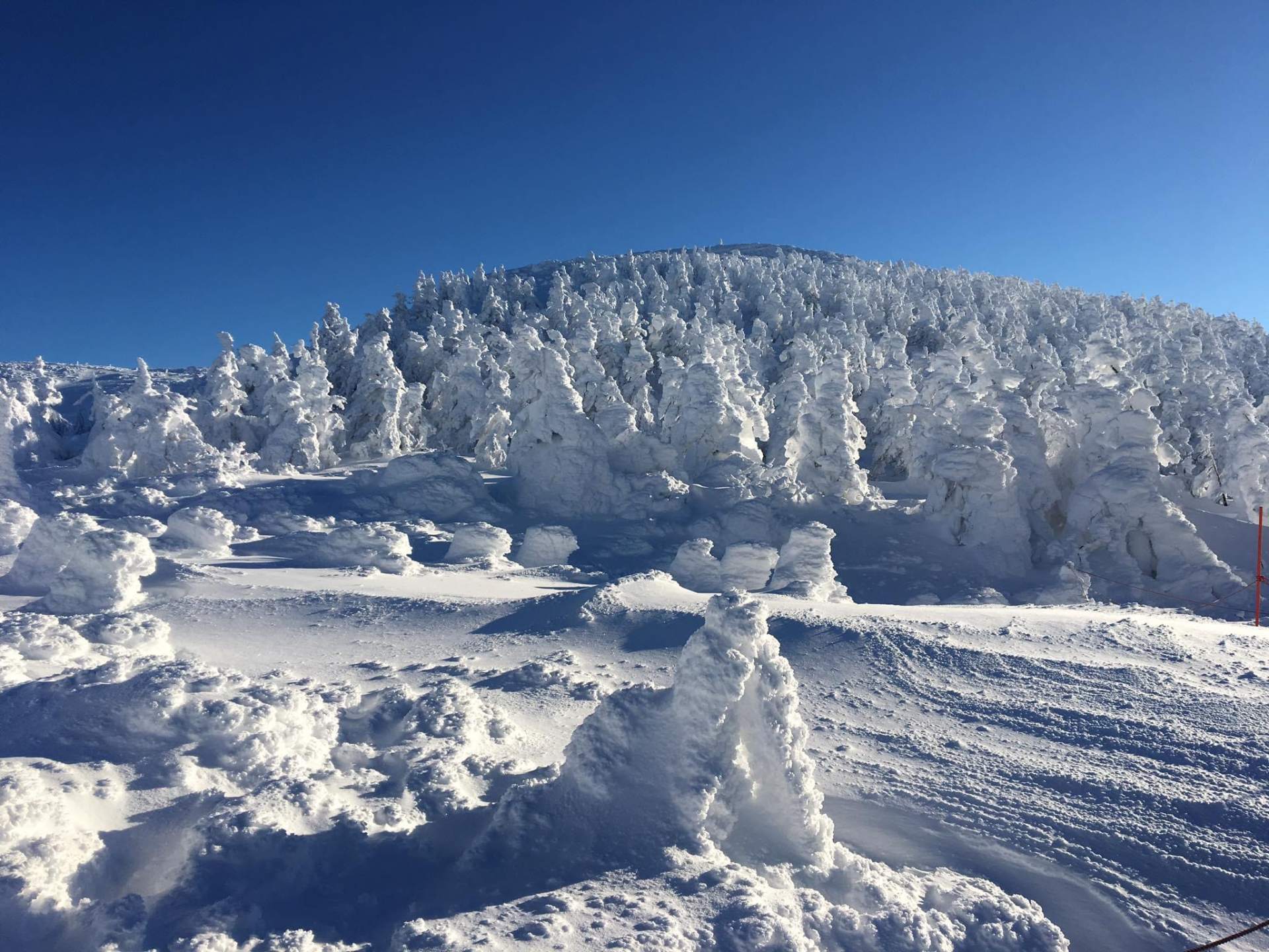Juhyo (Rime) in Zao (Yamagata Prefecture) - Must-See, Access, Hours ...