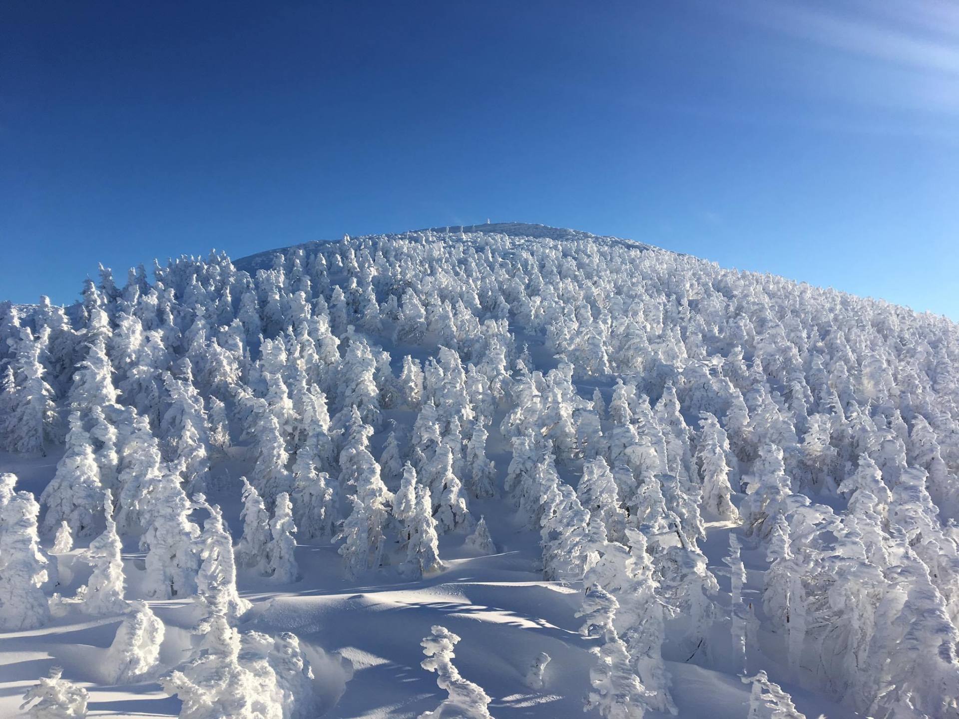 Juhyo (Rime) in Zao (Yamagata Prefecture) - Must-See, Access, Hours ...