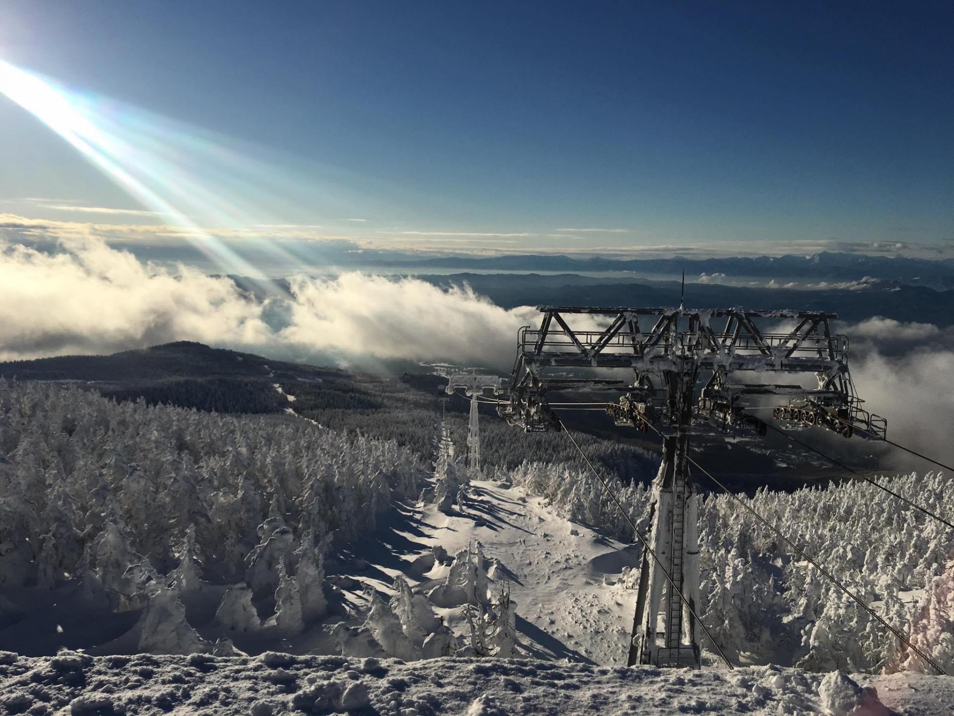 Juhyo (Rime) in Zao (Yamagata Prefecture) - Must-See, Access, Hours ...